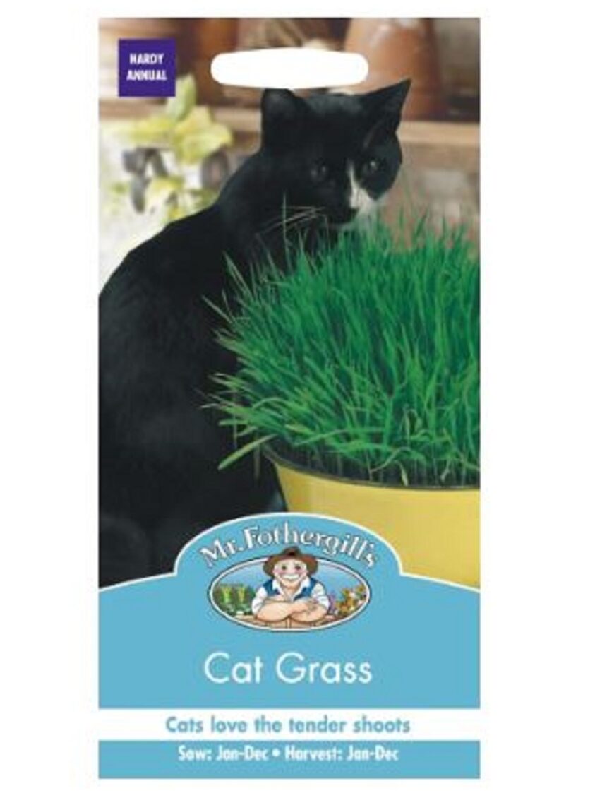 Kassimuru MrF – Kuuse Aiand