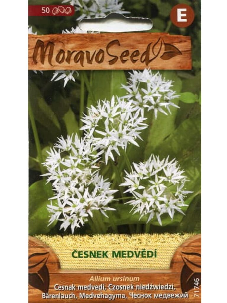 Karulauk ‘Ramson’ – Kuuse Aiand
