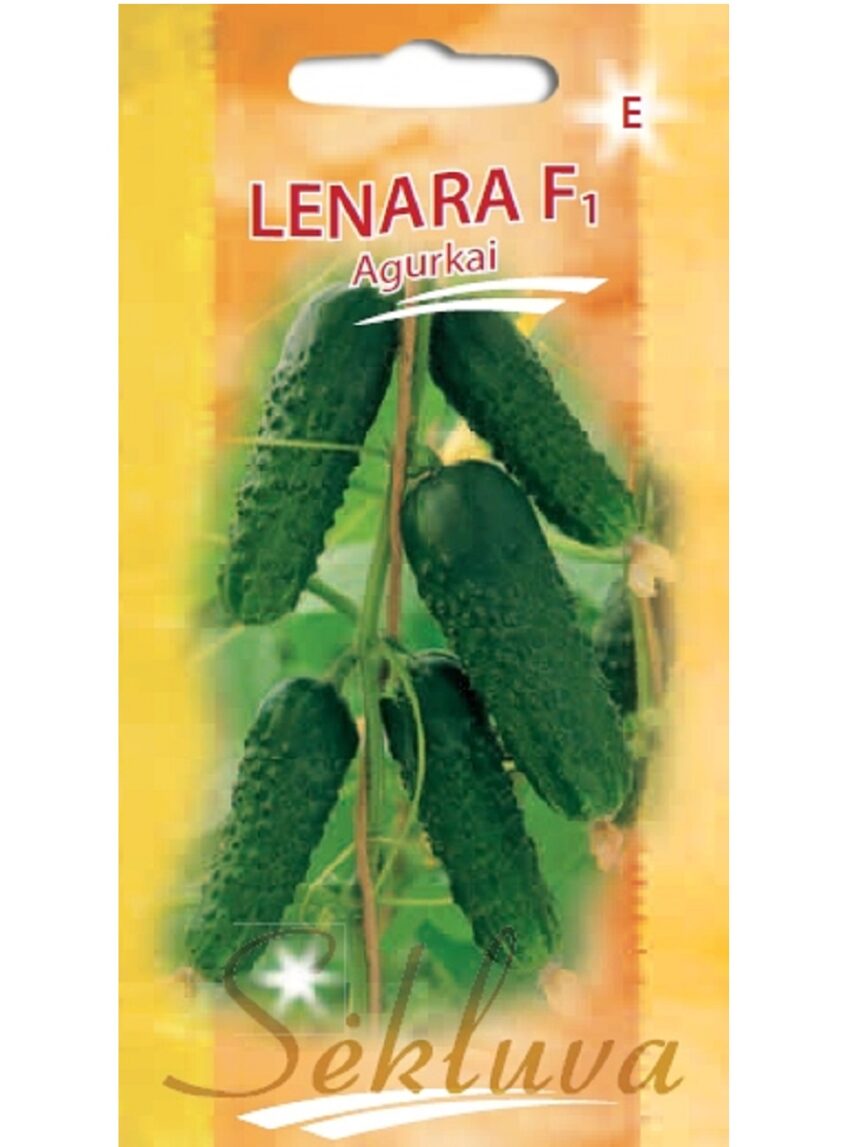 Kurk ‘Lenara RZ’ F1 – Kuuse Aiand