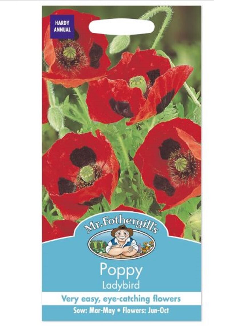 Magun `Ladybird` – Kuuse Aiand