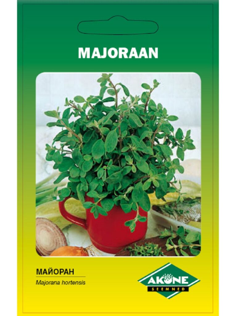 Majoraan – Kuuse Aiand