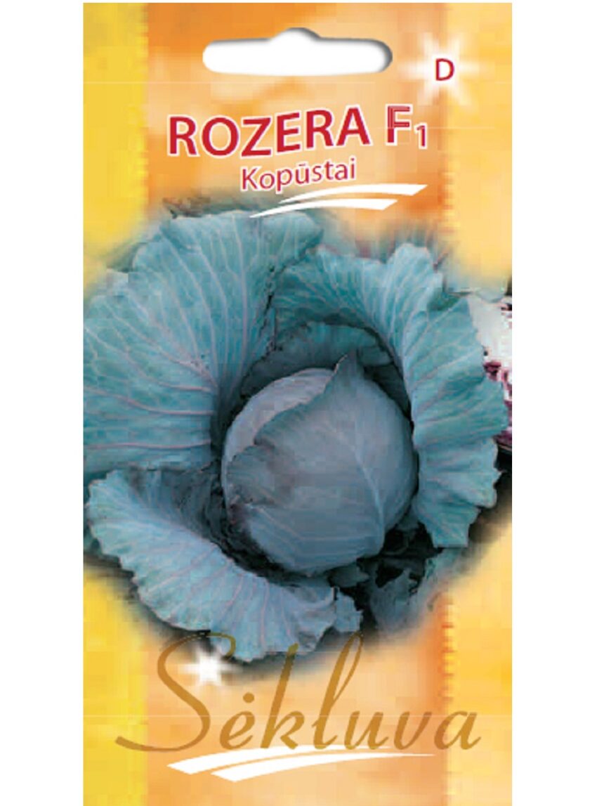 Kapsas ‘Rozera’ F1 – Kuuse Aiand