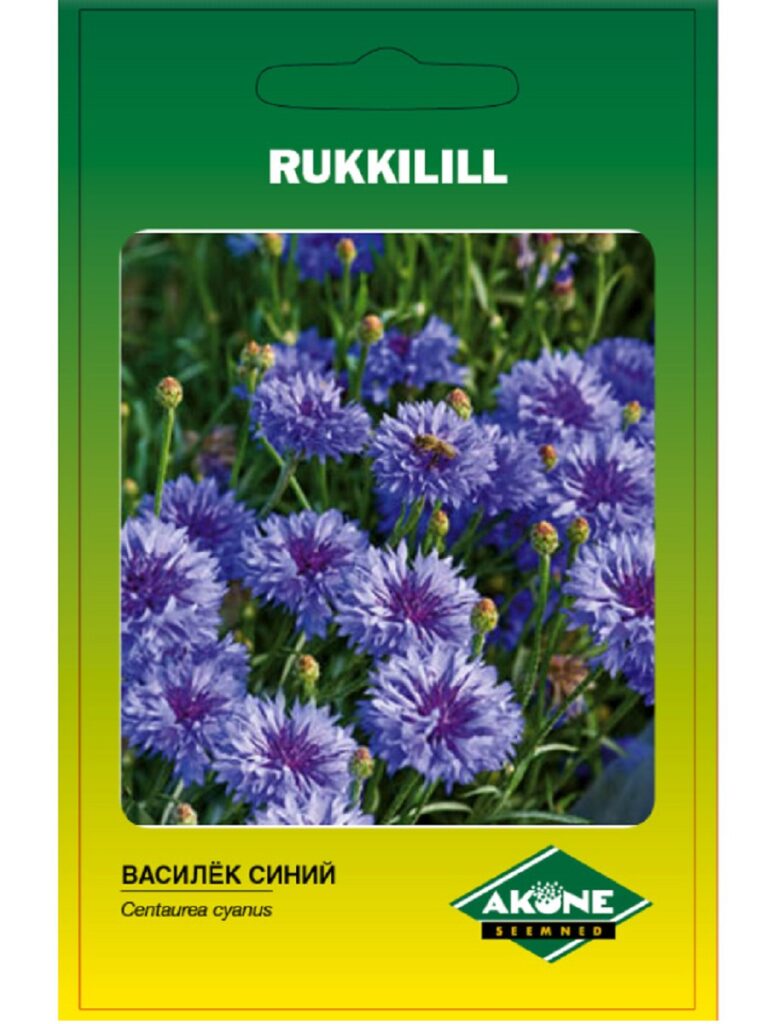 Rukkilill sinine A – Kuuse Aiand