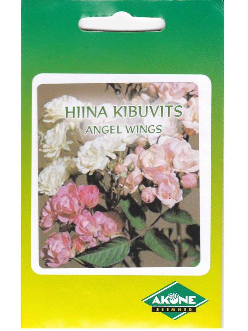 Hiina kibuvits ‘Angel Wings’ – Kuuse Aiand