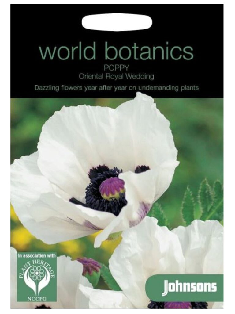 Idamagun ‘Oriental Royal Wedding’ – Kuuse Aiand