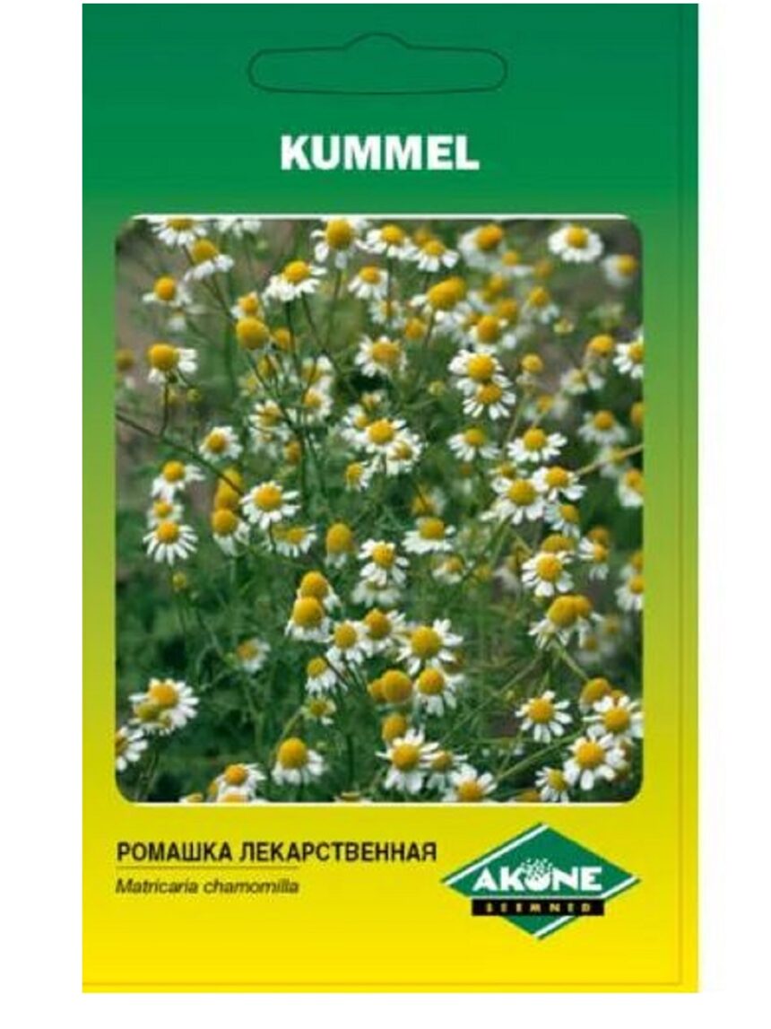Kummel – Kuuse Aiand