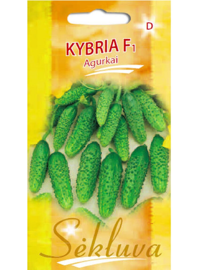Kurk ‘Kybria’ F1 – Kuuse Aiand
