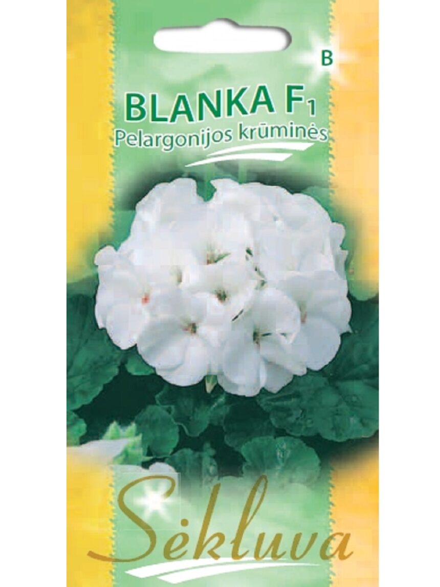 Viirpelargoon ‘Blanka’ F1 – Kuuse Aiand