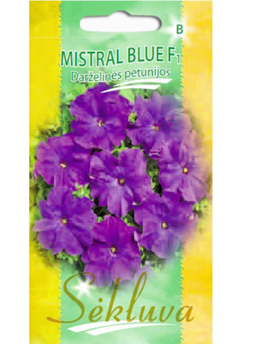 Petuunia ‘Mistral Blue’ F1 – Kuuse Aiand