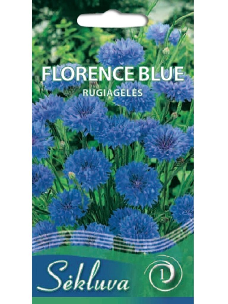 Rukkilill ‘Florence Blue’ – Kuuse Aiand