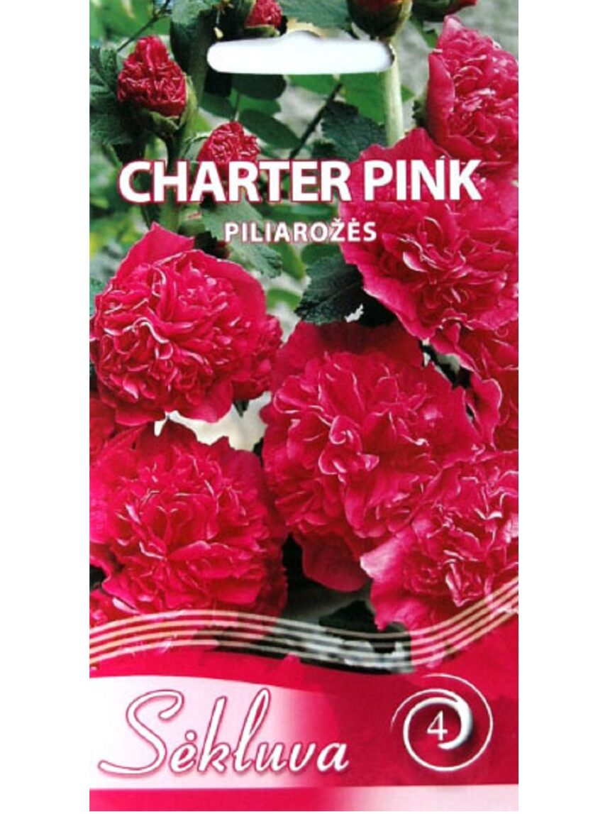 Tokkroos ‘Charter Pink’ – Kuuse Aiand