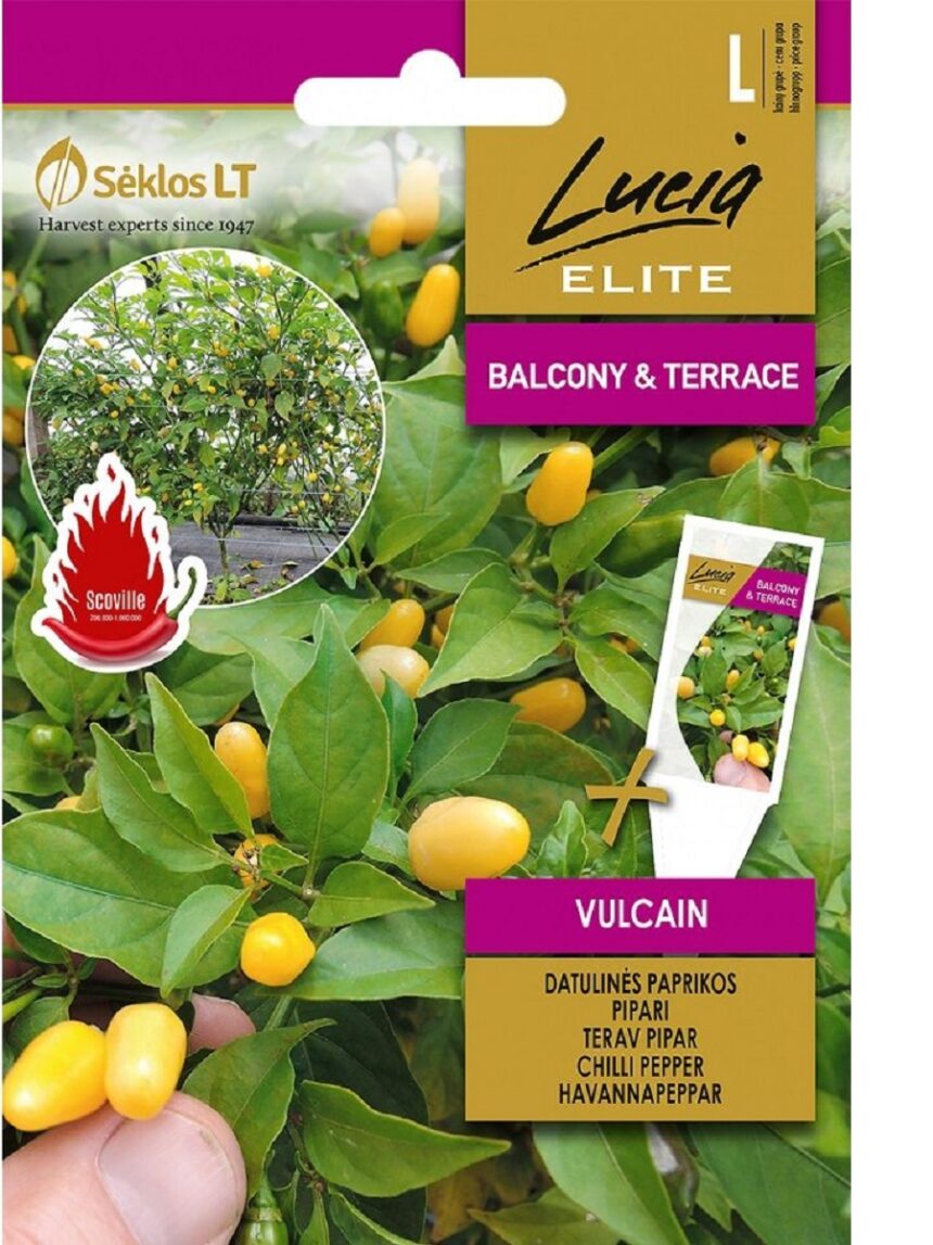 Kariibi paprika ‘Vulcan’ – Kuuse Aiand