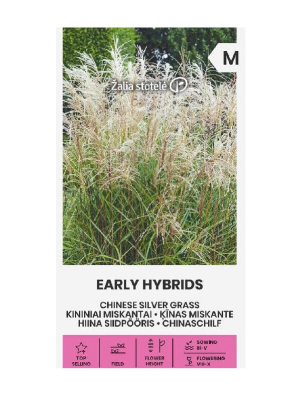 Hiina siidpööris ‘Early Hybrids’ – Kuuse Aiand