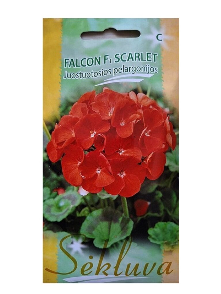 Pelargoon ‘Falcon Scarlet’ – Kuuse Aiand